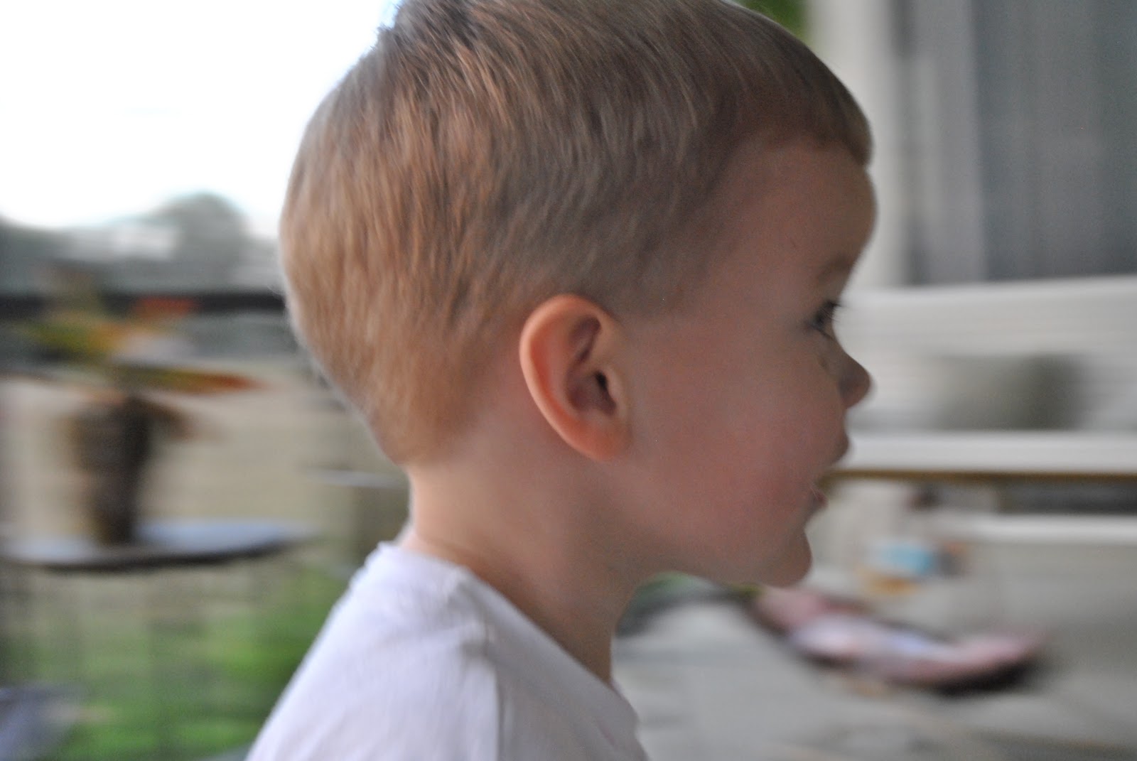The Tolbert Family: Jet's Big Boy Haircut and Landon's ears