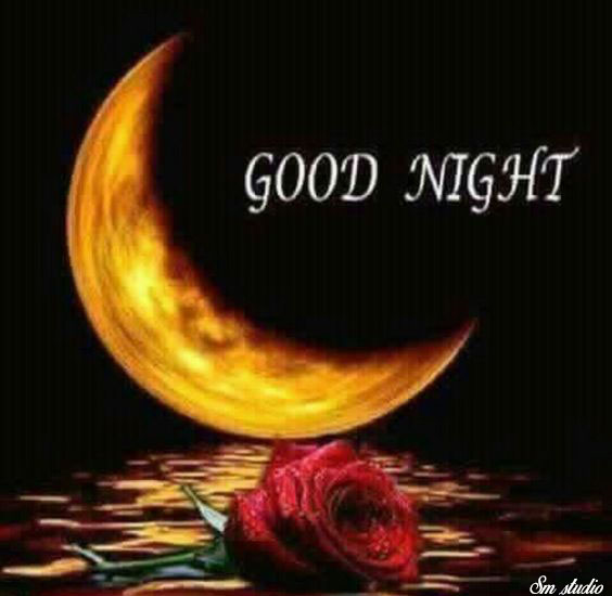 1133+ Good Night Images And Photos, Pics - GOODMORNINGIMAGESS ...