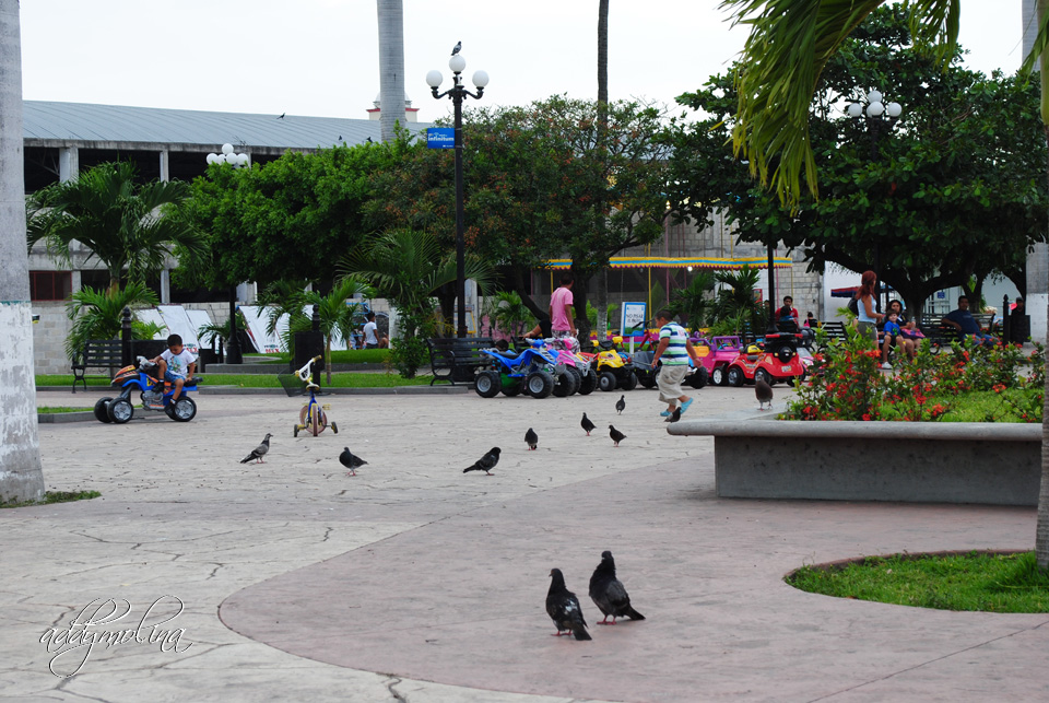 Cachivaches: Tintero de lo incierto: Ciudad Cardel, Veracruz (Fotografía)