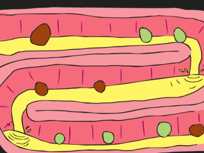 Sistema Digestivo ~ Biopsicosalud
