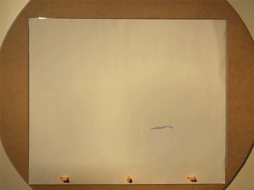 Keith Kavanagh Art: Reed animation gif