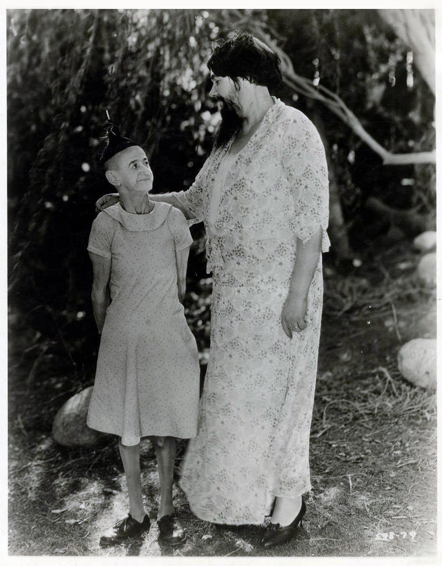 eL kOProFagO: 222# Elisabeth Green