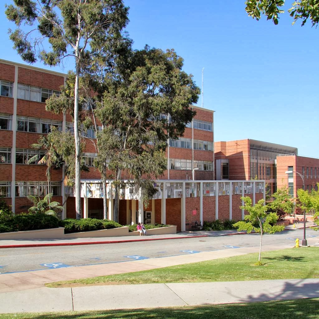 angzDESMA9: Week 1 Blog