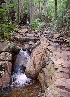 On the Road with Maya: Acadia Trails...