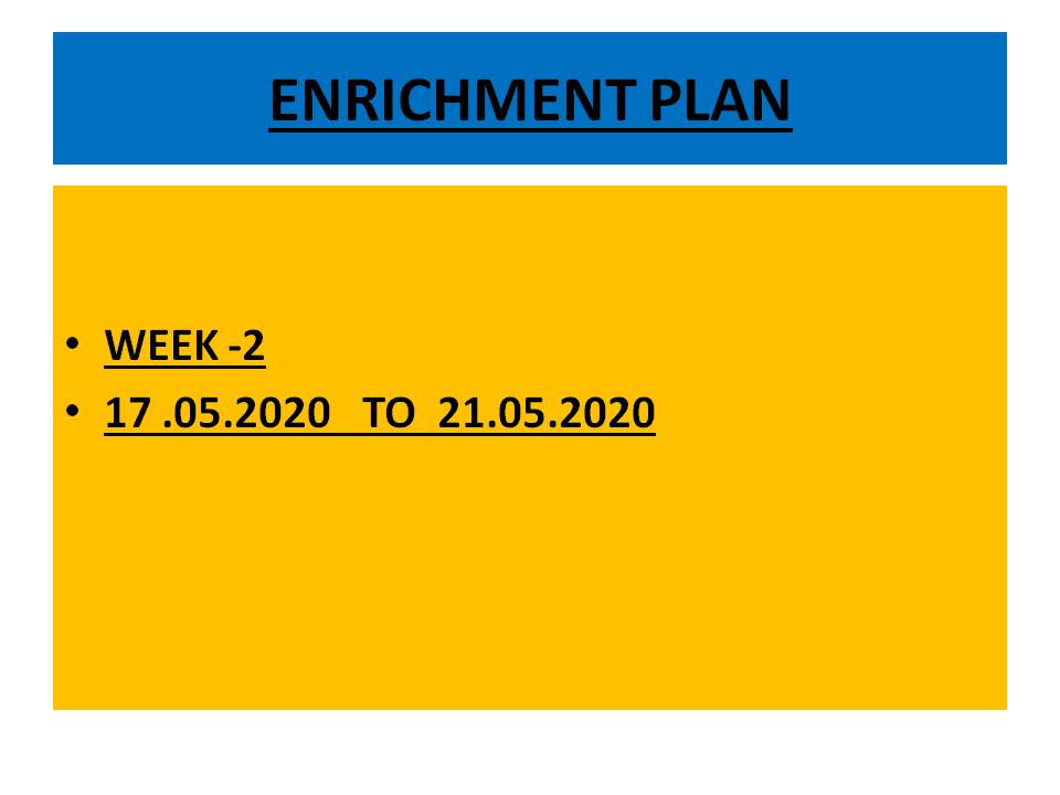 Grade 11: ENRICHMENT PLAN