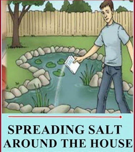 Spreading Salt Around The House Heres Why Its So Incredible - healhty ...