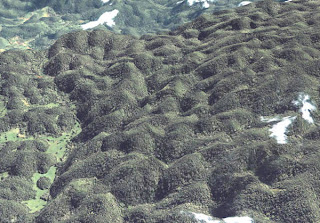 Jamaica Vacations | Jamaica Resorts | Jamaica Weather