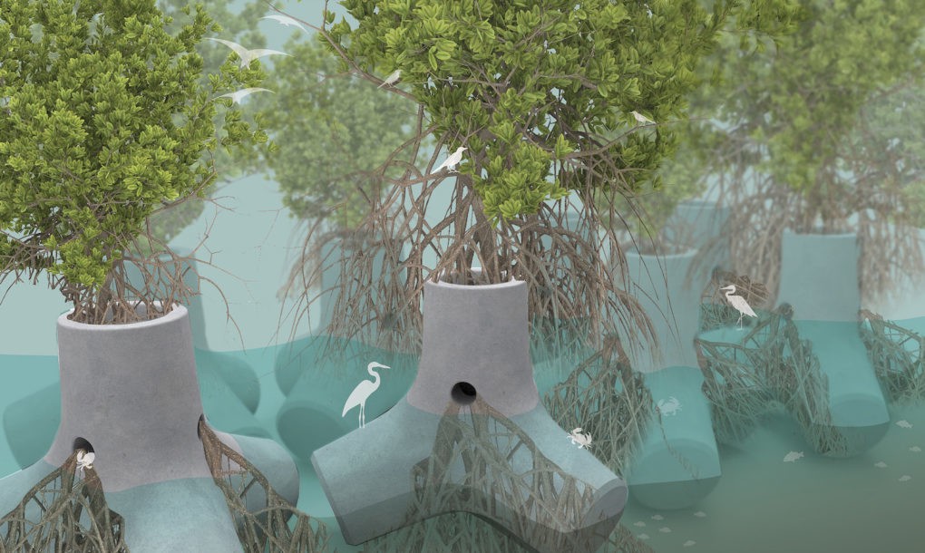 TetraPOT uses mangroves to grow a greener sea defense system