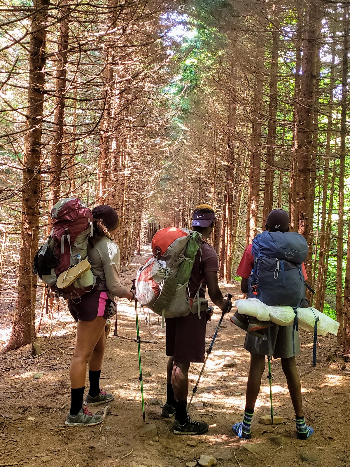 Ben's Journal: Backpacking Allegheny and Seneca Creek Trails