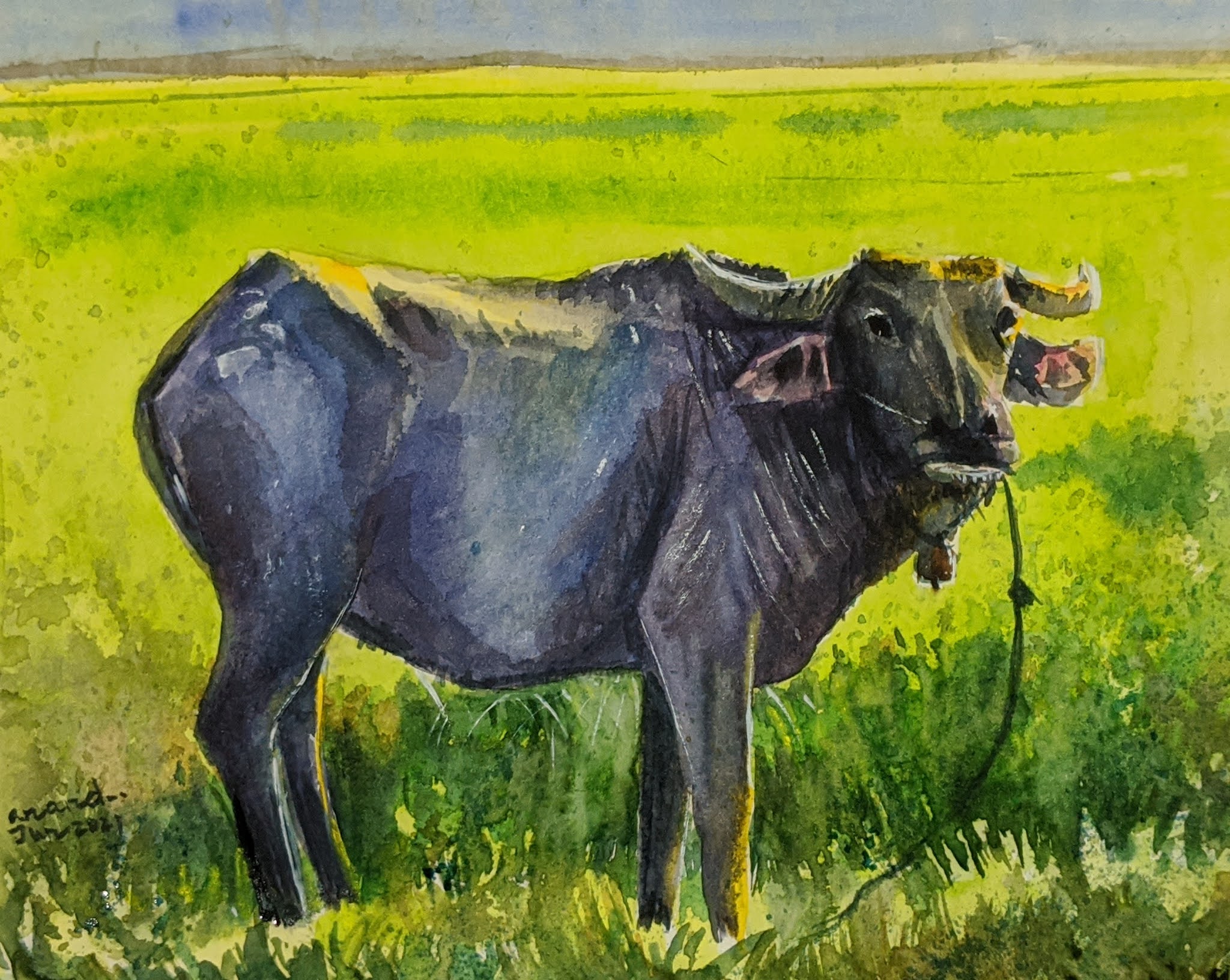 Art by M.R. Anand: Colours of Buffalo