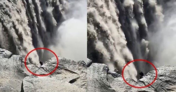 Weird Creature filmed at waterfall in Iceland