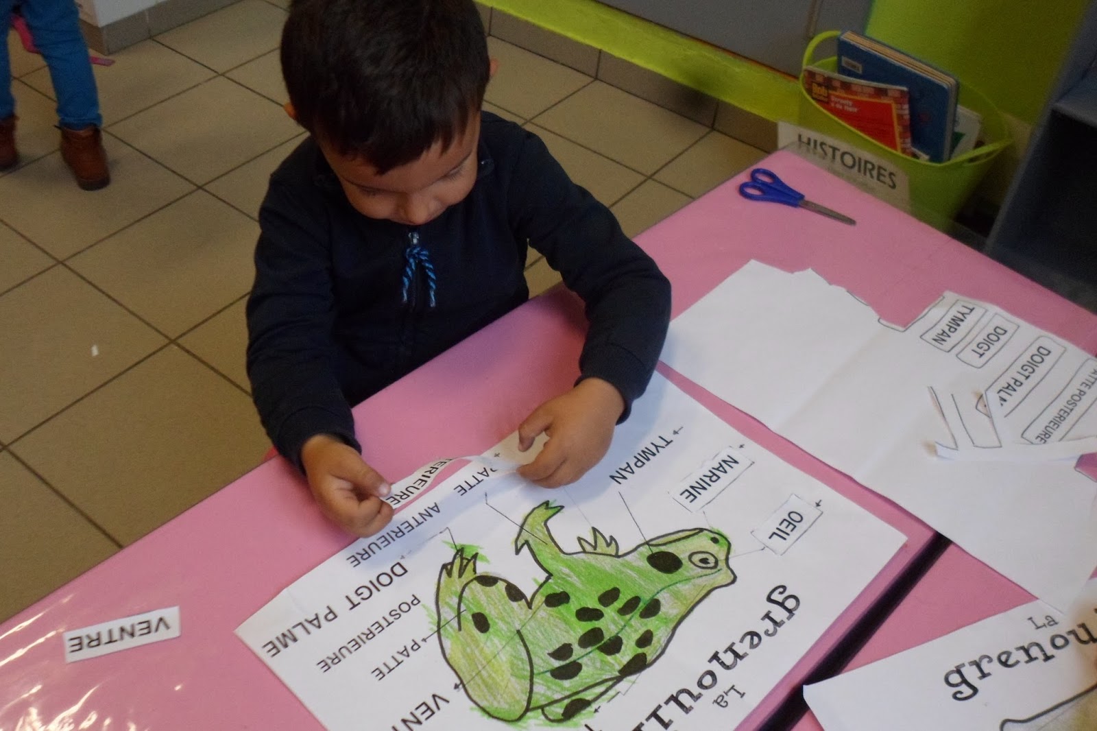 Activités sur la grenouille. - École Sainte-Marie à Boirs - Blog