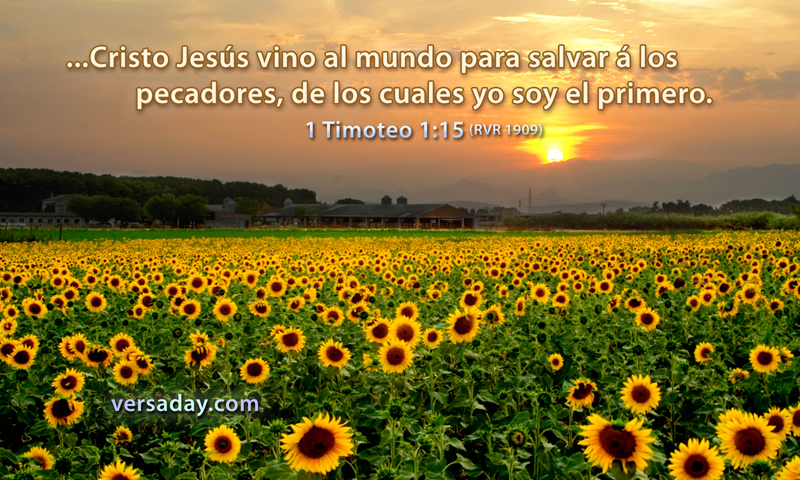 Aprendiendo la Sana Doctrina: EL AMOR DE DIOS