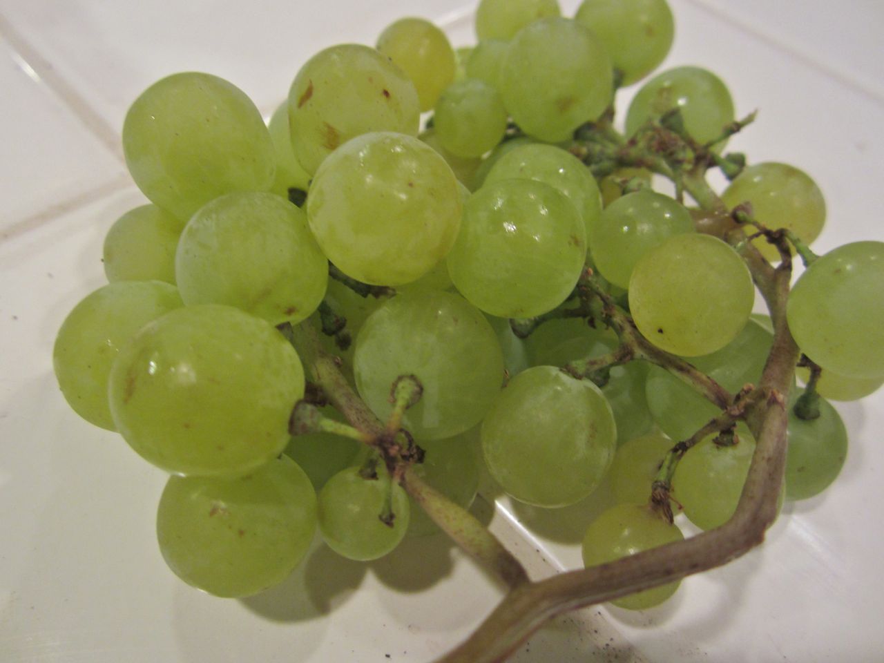 twistin sandy's blog: loving the harvest