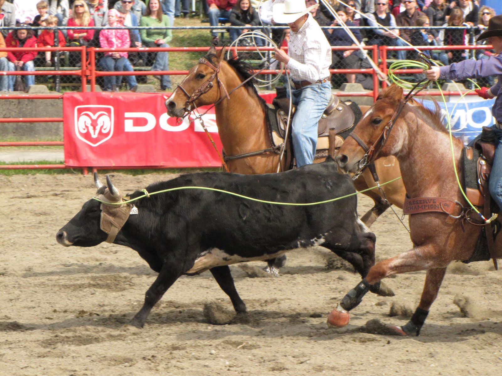 Millennium Dragon: May 2011 - Luxton Rodeo Images...