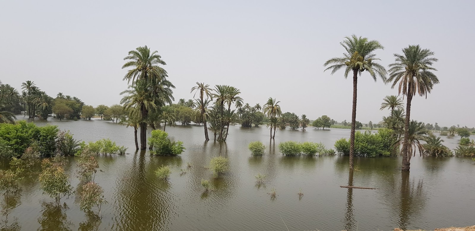Pakistan Geotagging: 098 - Nawab Sar Buland Khan And His Fort At Mankera