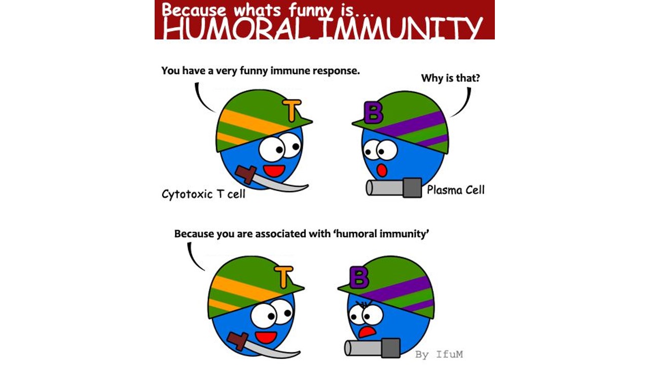 Liga Universitária de Imunologia-Universidade Federal de Uberlândia: O ...