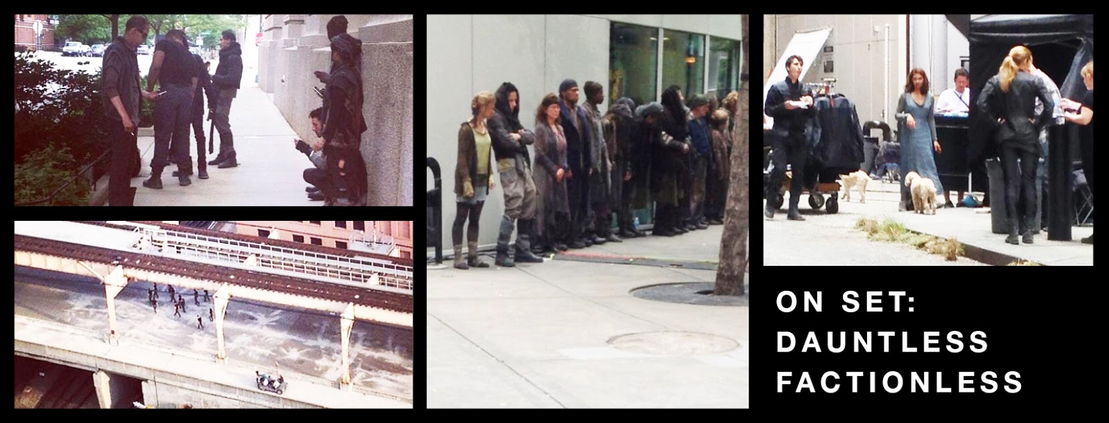 Factionless Divergent