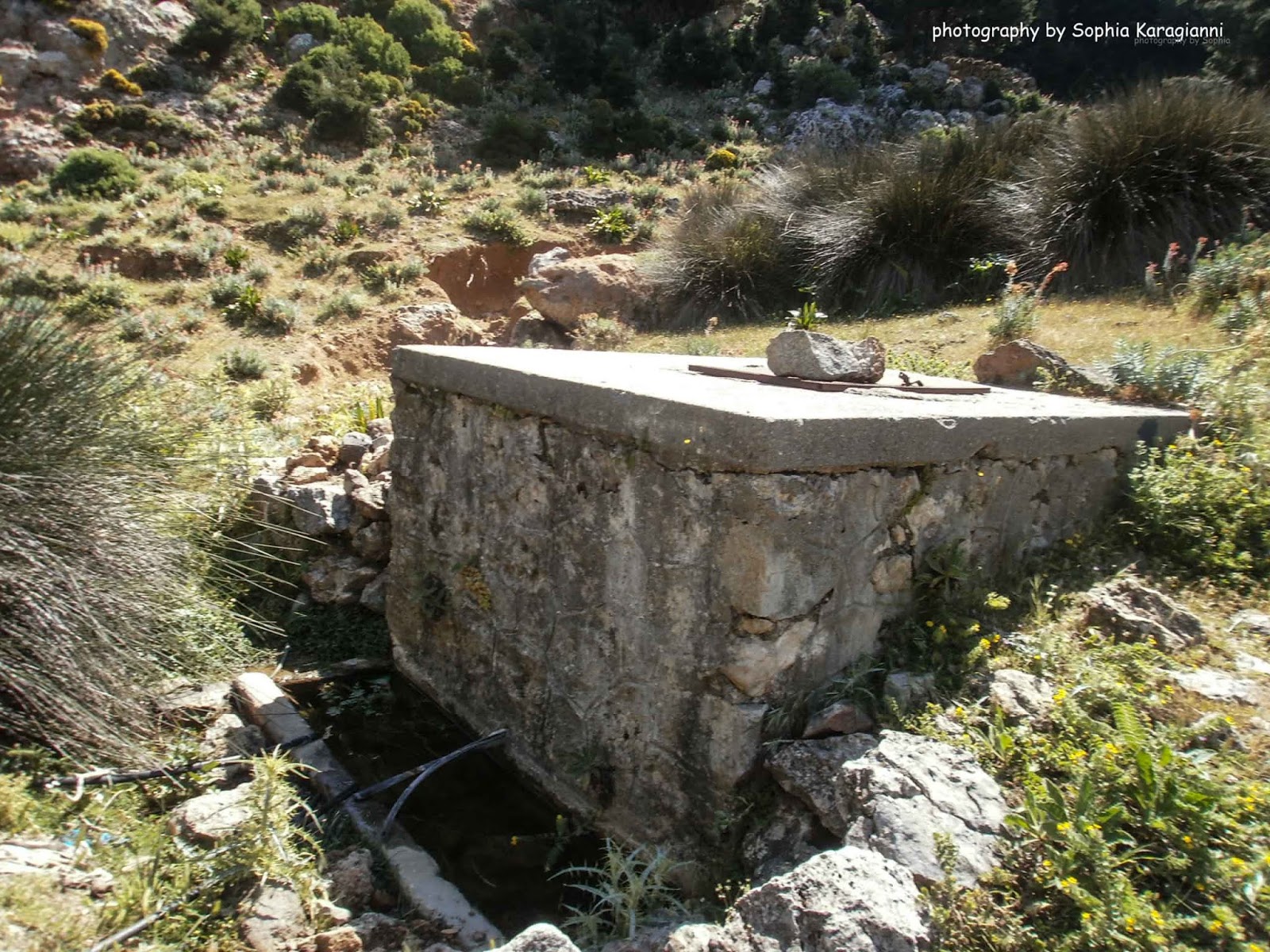 Kos and the Dodecanese through my eyes-Η Κως και τα γύρω νησιά μέσα από ...