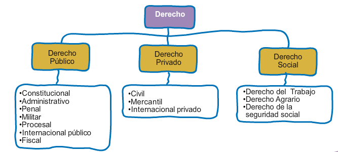 El Derecho Las Ramas Del Derecho