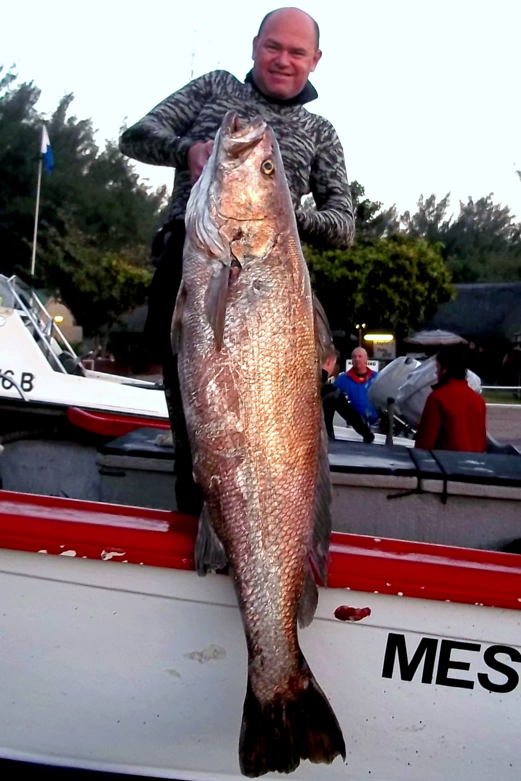 Coatesman's Spearfishing & Waterman's Blog: Daga Salmon Time