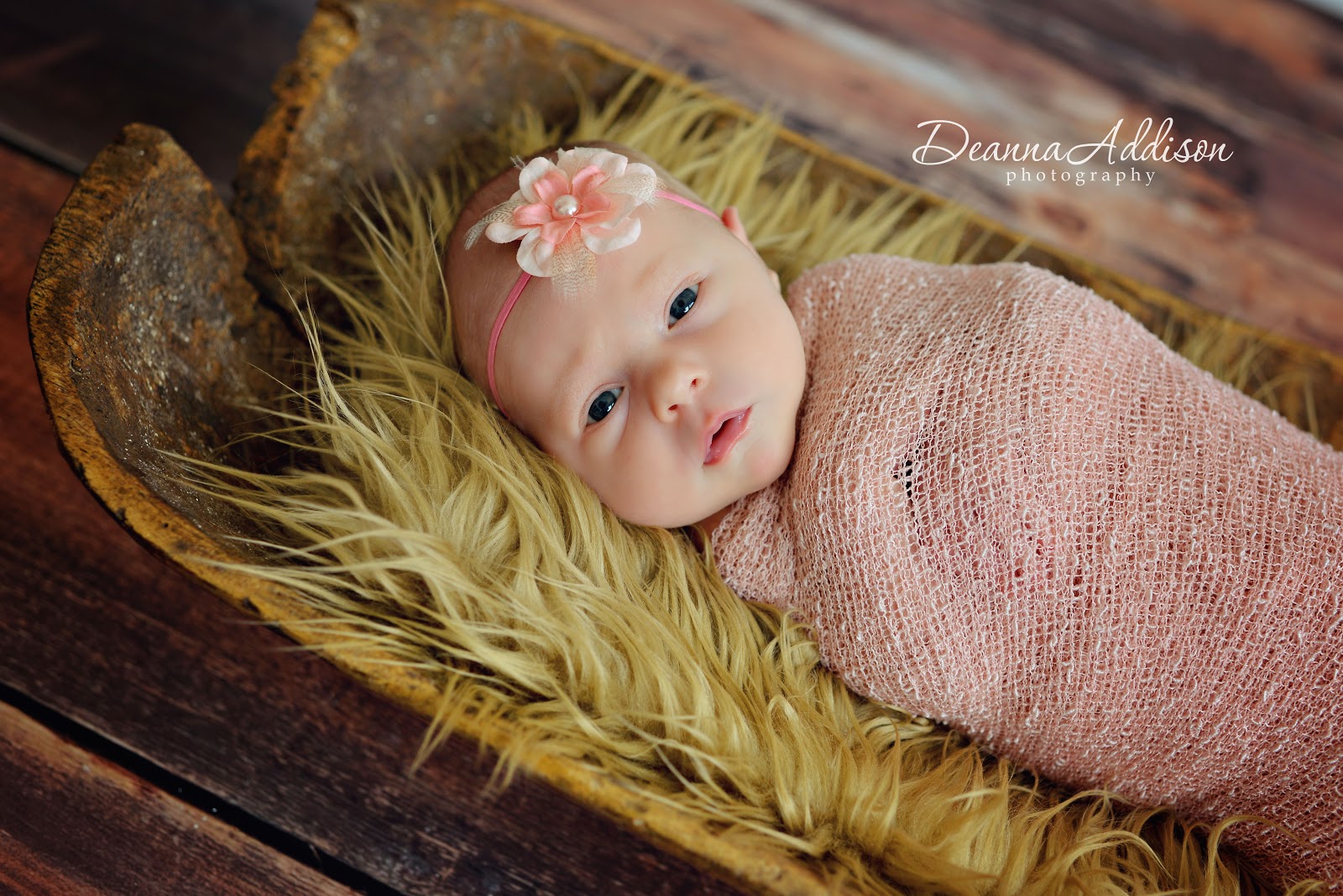 Deanna Addison Photography: Lillianne Newborn