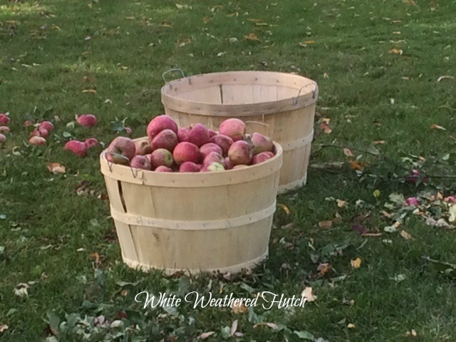 White Weathered Hutch: Home made Apple Picker DIY