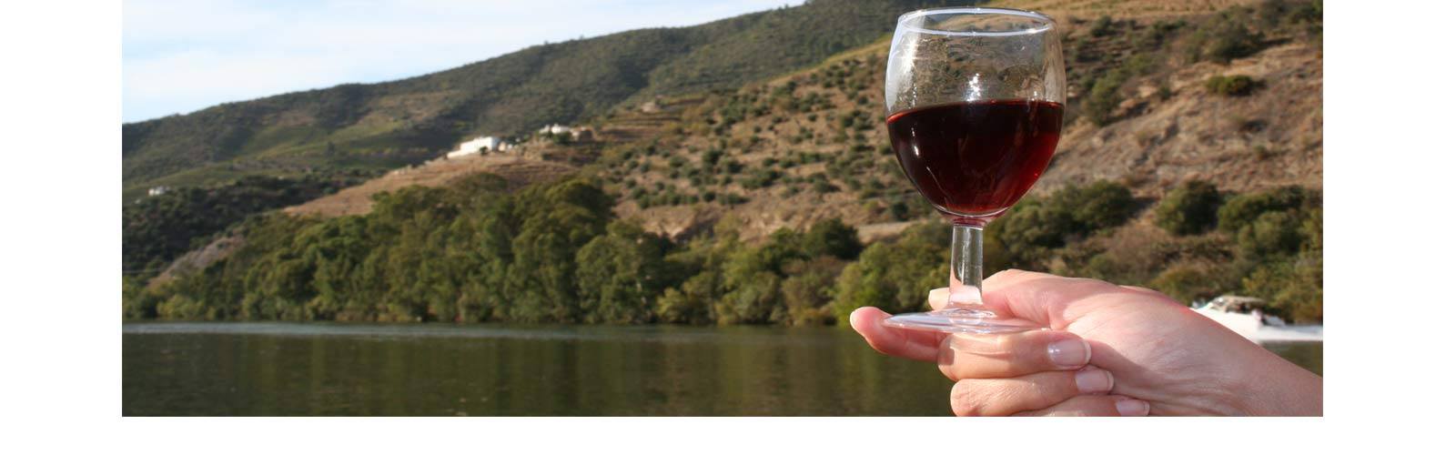 Wines from the Region