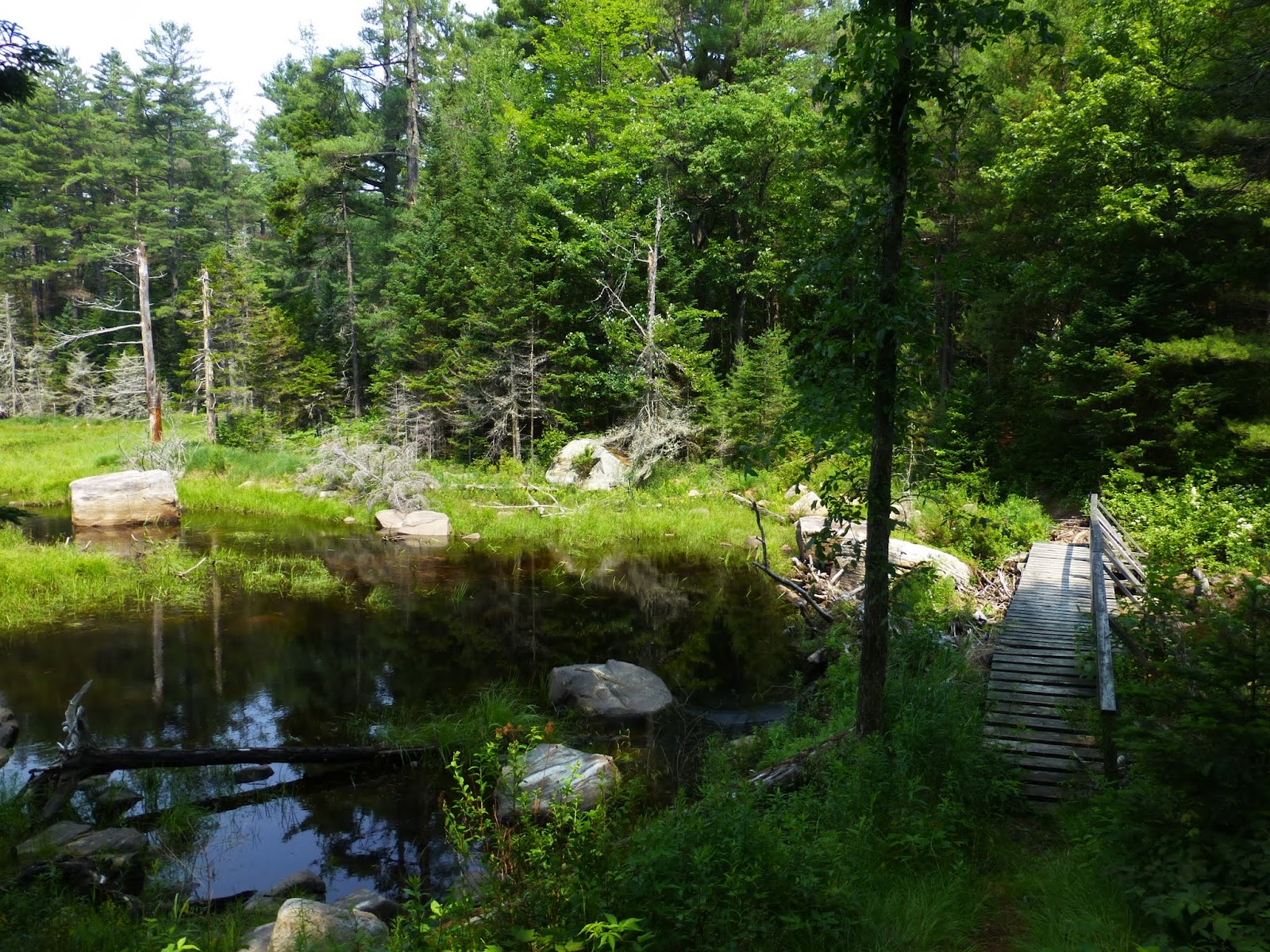 Off on Adventure: Long Pond Cliff Loop - Siamese Ponds Wilderness - 7/5/15