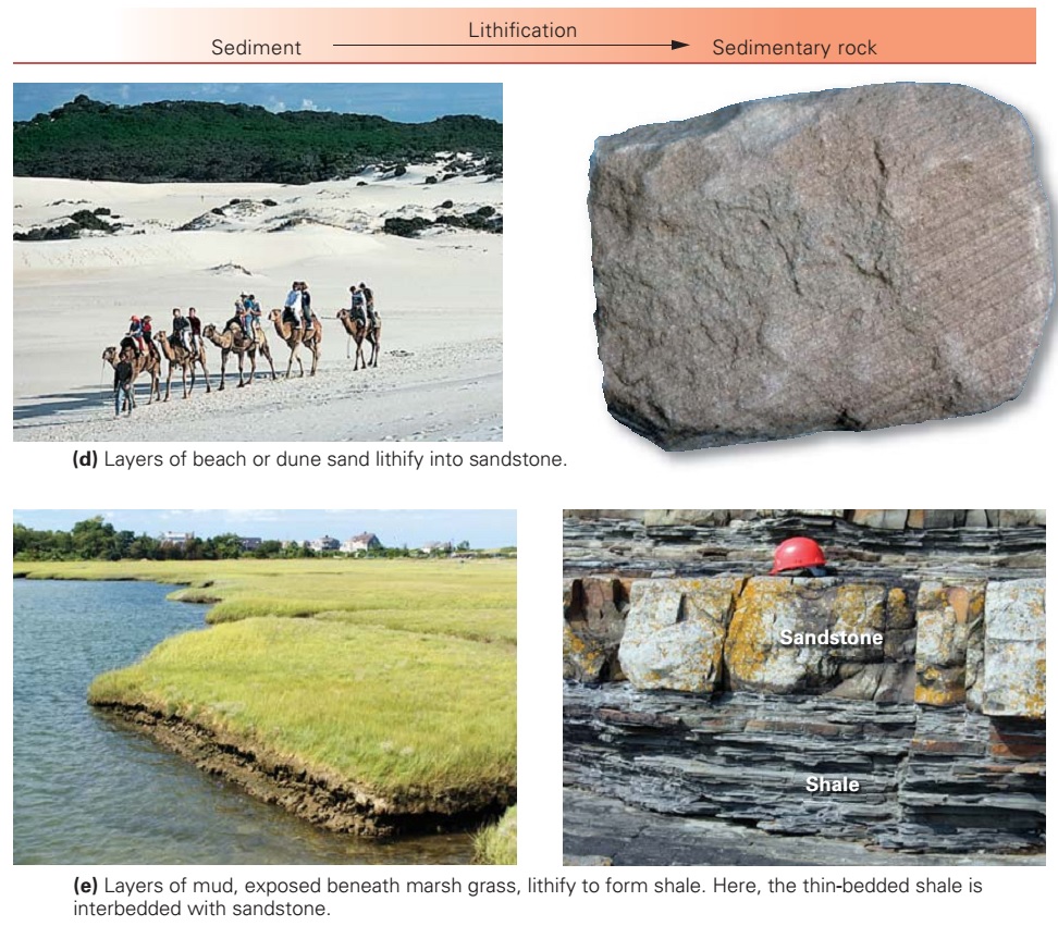 Learning Geology: Classes of sedimentary rocks