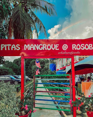 Pitas Bay View Sabah Malaysian Borneo (36 Photos)