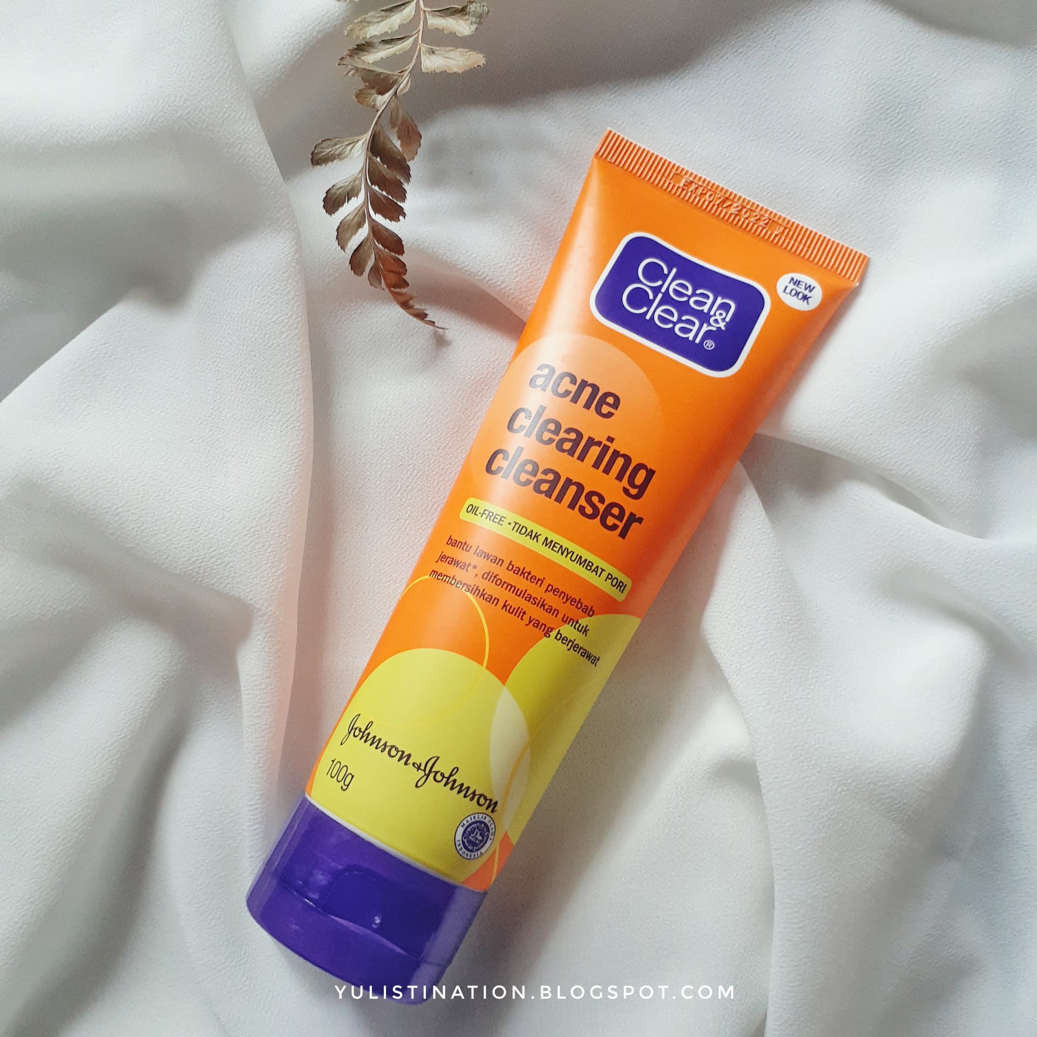 REVIEW : Clean & Clear Acne Clearing Cleanser - The Yulistinay's Diary
