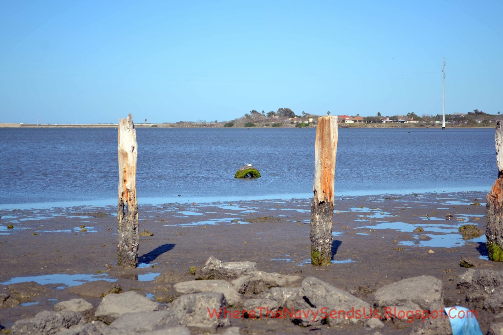 Home Is Where the Navy Sends Us: Corpus Christi, Texas & Surrounding Areas