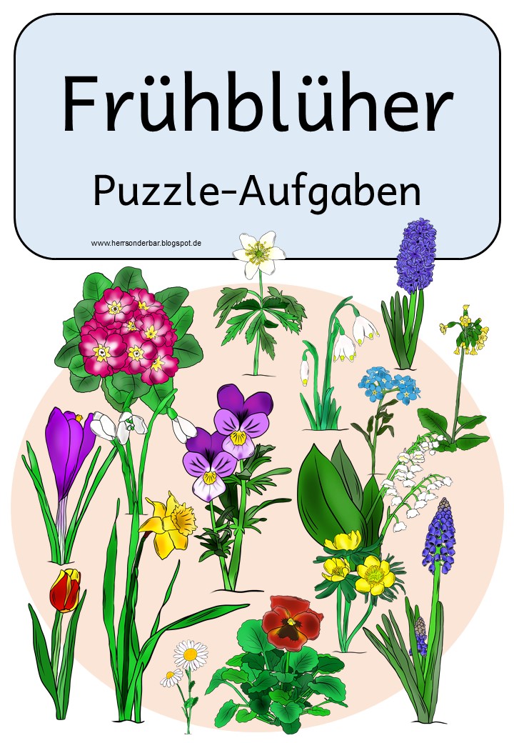 Herr Sonderbar: Frühblüher (Tafelkarten und Puzzle-Aufgaben)