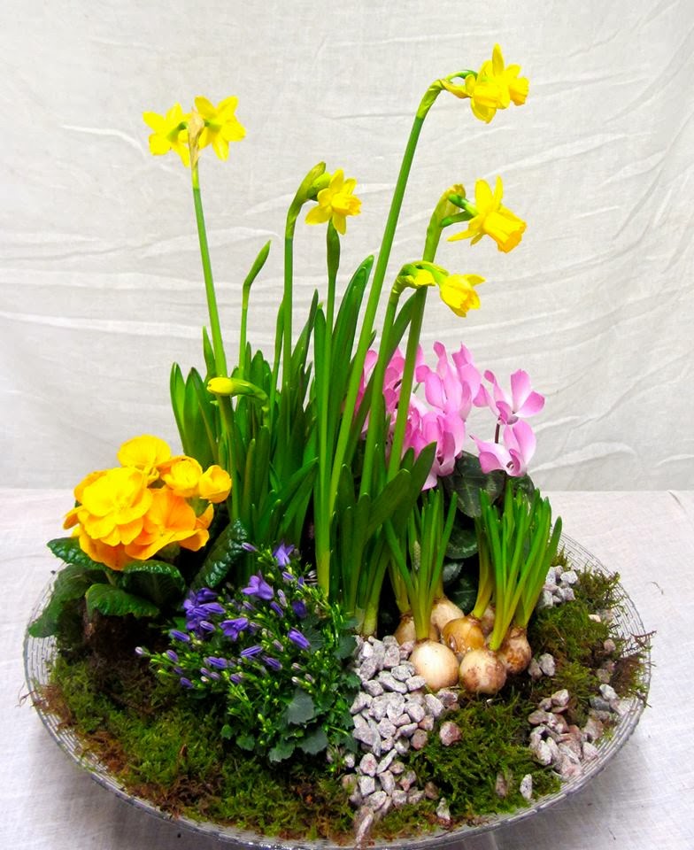 The Flower Shop's Blog: Spring is springing...