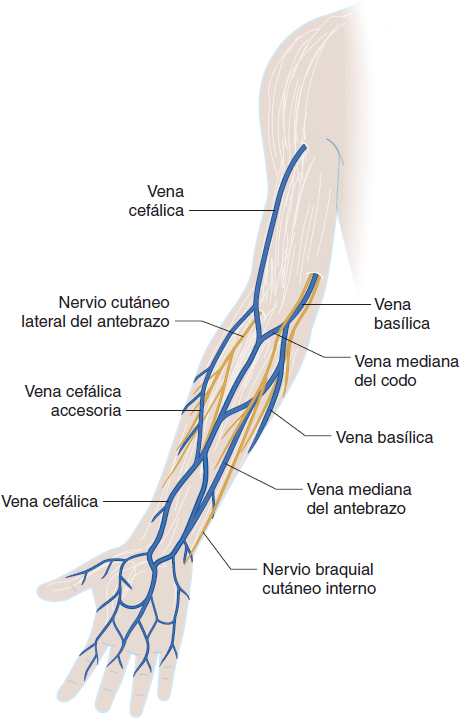 ATENSALUD: Enfermaría Geriátrica y Sociosanitaria: octubre 2017