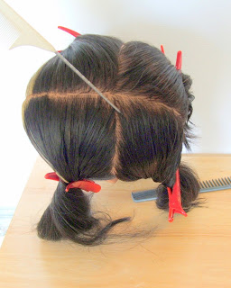 Hair Color & How the Application Process is Accomplished Properly ...