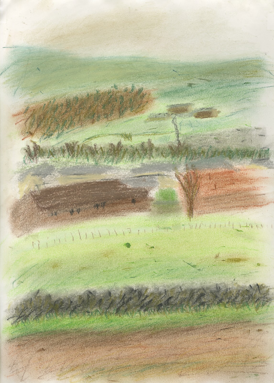 Observational Drawing 2