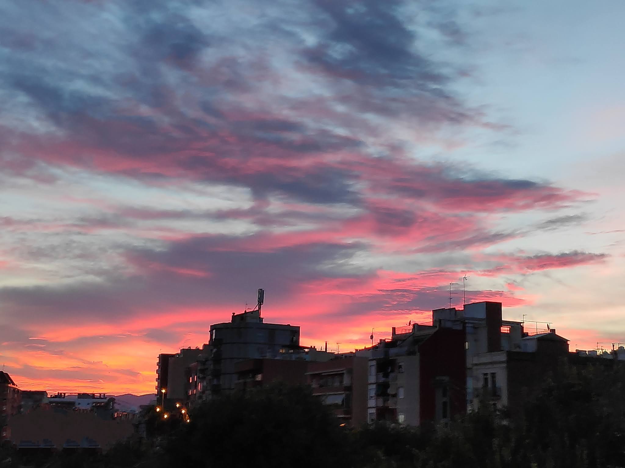 Los días y las frases: 2020