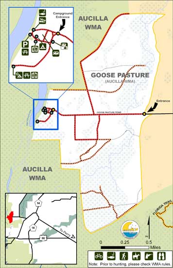 Operation Explorations: REVIEW Goose Pasture Boondocking, Suwannee ...