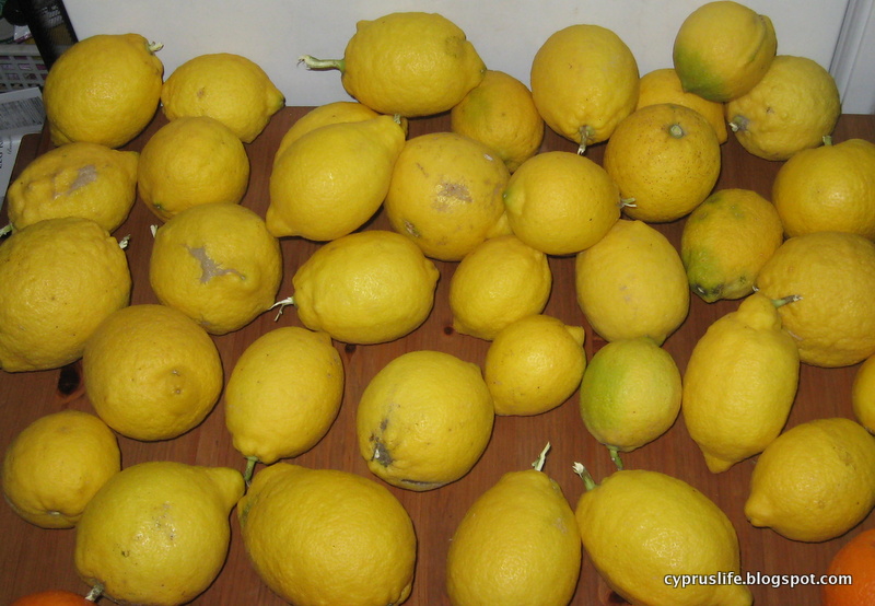 This is Cyprus...: In praise of Cyprus fruit and vegetables