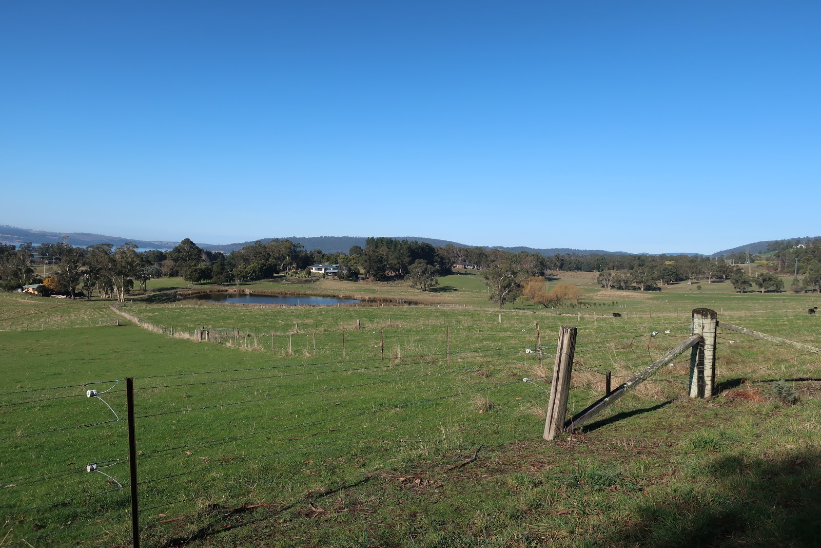 Ramblers : Margate Tramway and Rivulet Tracks
