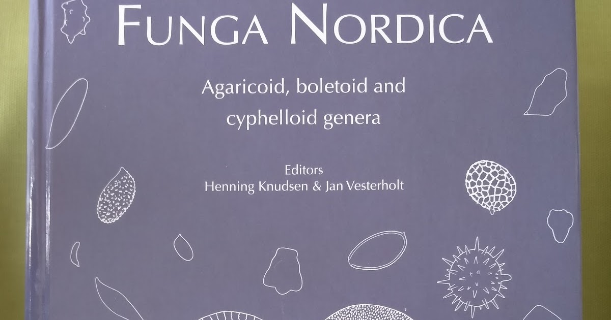 Misidentifying Fungi Funga Nordica misidentifying-fungi-funga-nordica