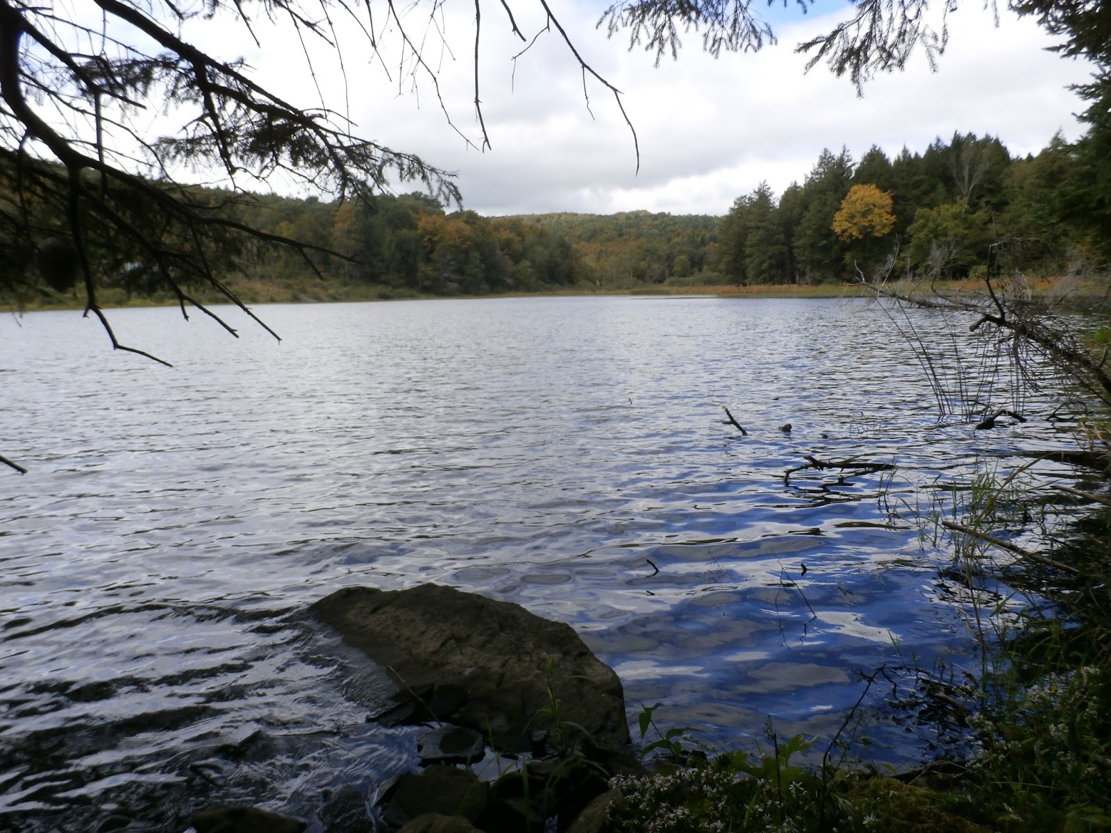 Walking Man 24 7: Huyck Preserve