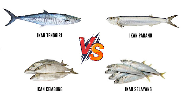 Beliau juga menyatakan penggunaan ikan selayang dan kembung yang ...