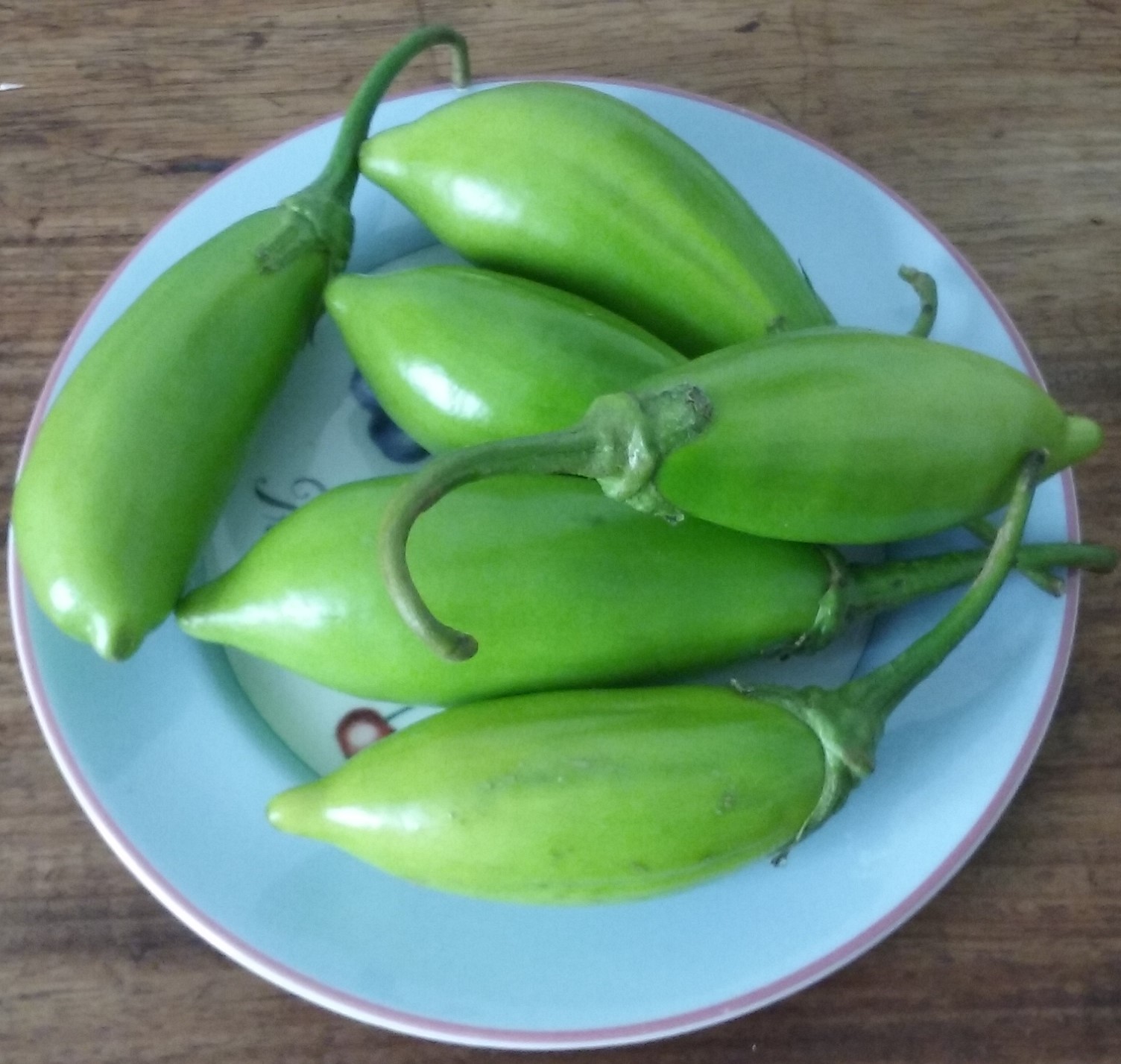 Ipanema Pitanga: Jiló Refogado