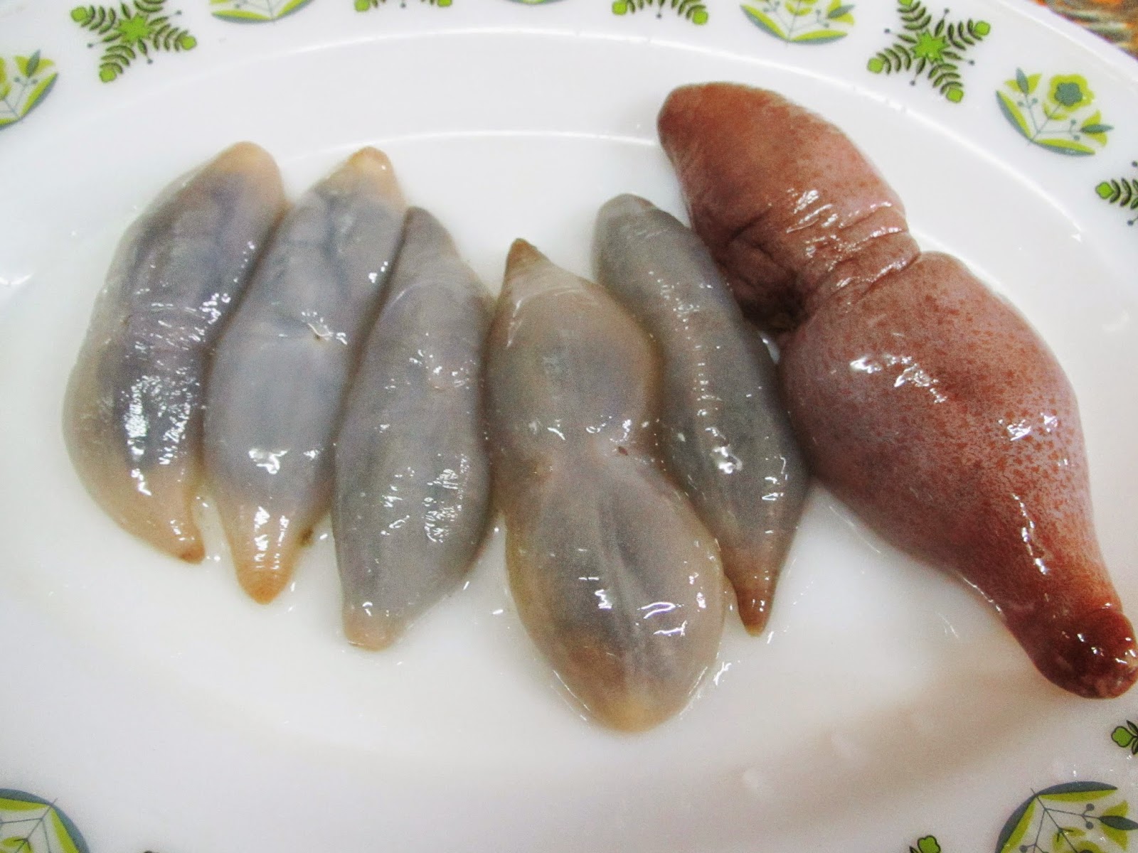 FCU HOMESCHOOLING JOURNEY: KERABU BERONOK HIDANGAN EXOTIK PULAU LANGKAWI