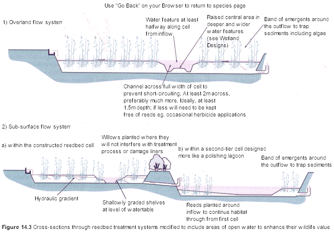 Experiencing Architecture With a New Depth.......