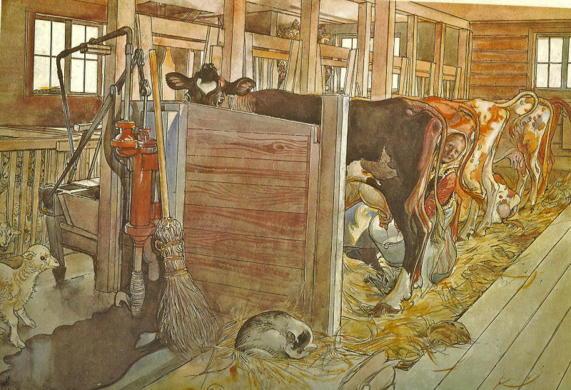 Pandora`s Box: A Picture Is Worth A Thousand Words. Featured Artist ...