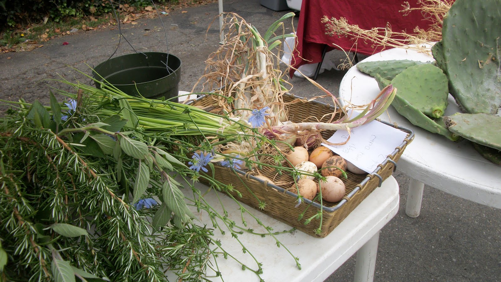 Victory Garden Foundation: Jazzy Crop Swap